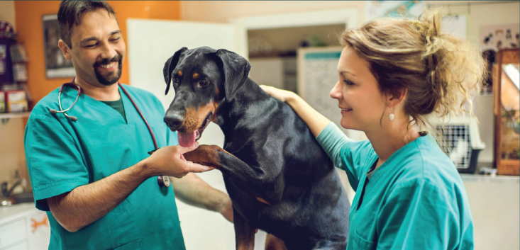 Meet Our Team - Berkeley Heights Animal Hospital